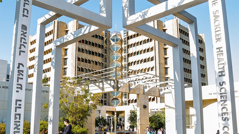 Arrow Research Project – Sheba Medical Center - American Friends of ...